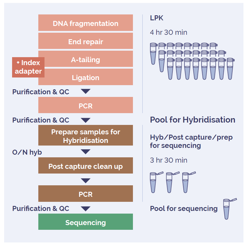 Next Generation Sequencing Workflow Next Generation Sequencing Workflow