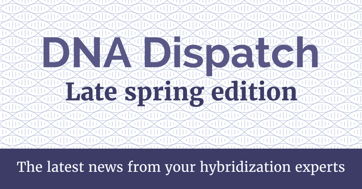 DNA Dispatch newsletter - May 2023