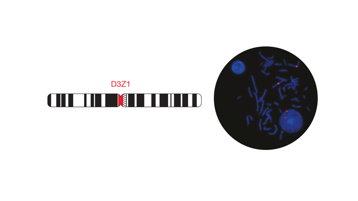 CytoCell fluorescence in situ hybridization (FISH) | OGT