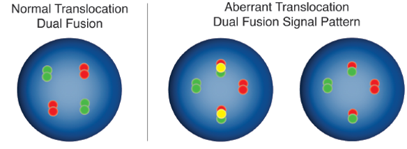 Common FISH signal patterns | OGT