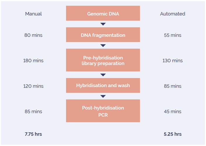 Automated Hybridisation Based Ngs Library Preparation