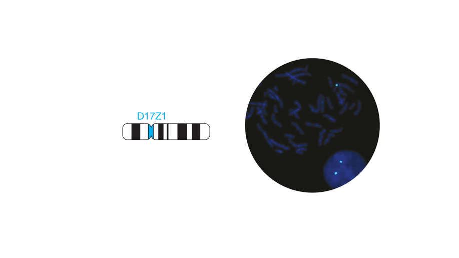 CytoCell fluorescence in situ hybridization (FISH) | OGT