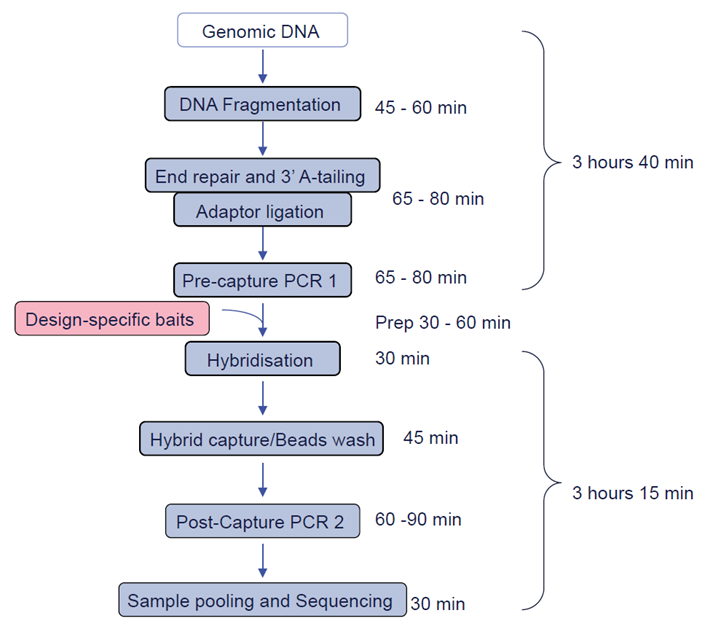 NGS protocol yields 1% variant detection in MPN samples NGS protocol yields 1% variant detection in MPN samples