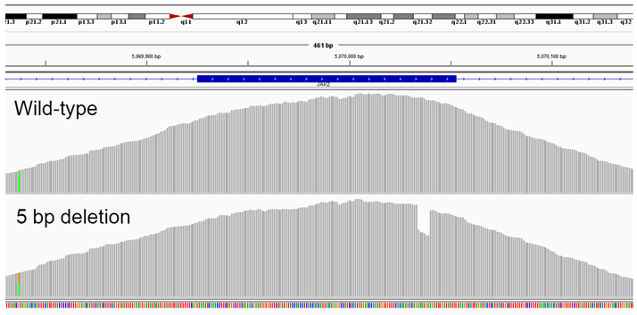 NGS protocol yields 1% variant detection in MPN samples NGS protocol yields 1% variant detection in MPN samples