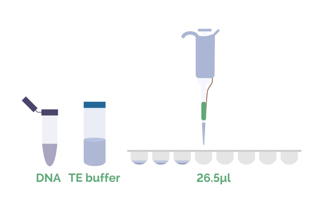 DNA Dispatch newsletter - December 2022