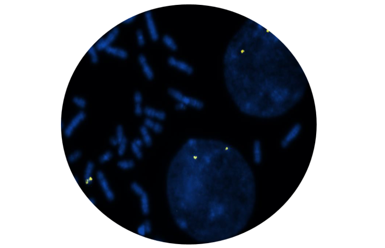 DNA Dispatch newsletter - November 2021