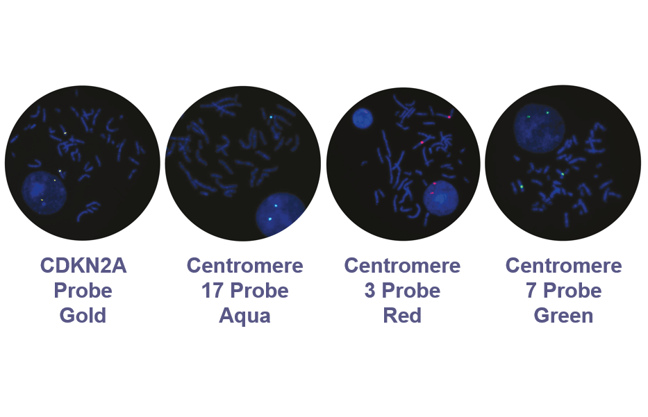 OGT - Pioneers in hybridization technology