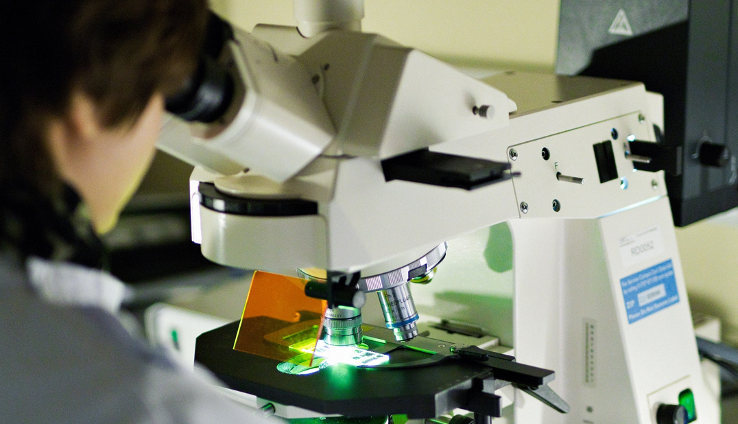 CytoCell fluorescence in situ hybridisation (FISH)